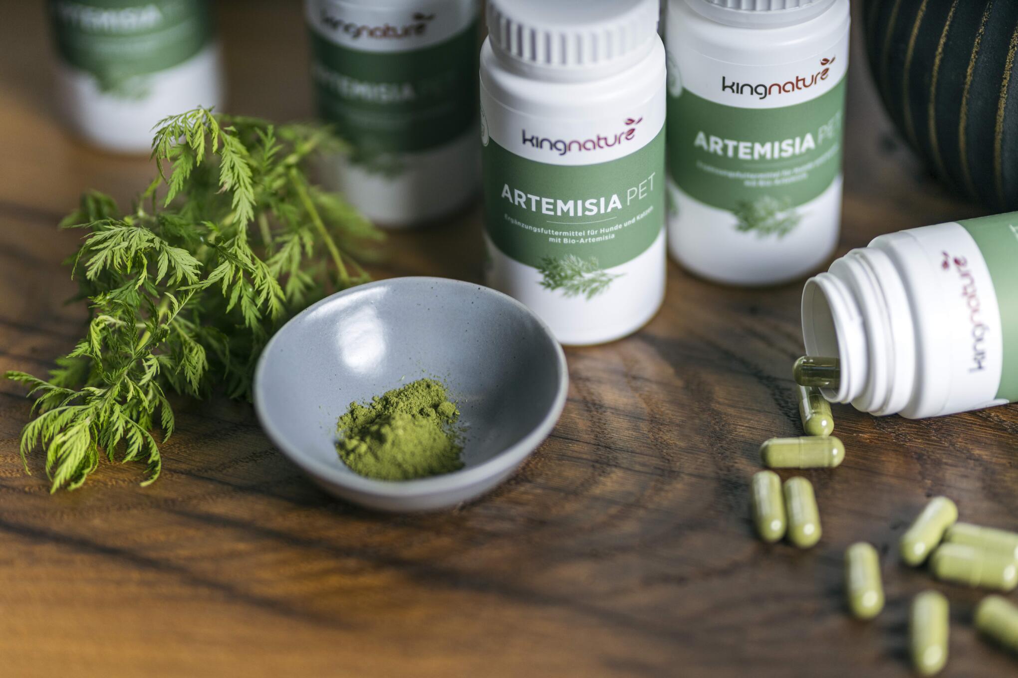Artemisia kaufen - Artemisia Pet | 72 Artemisia Kapseln à 600 mg