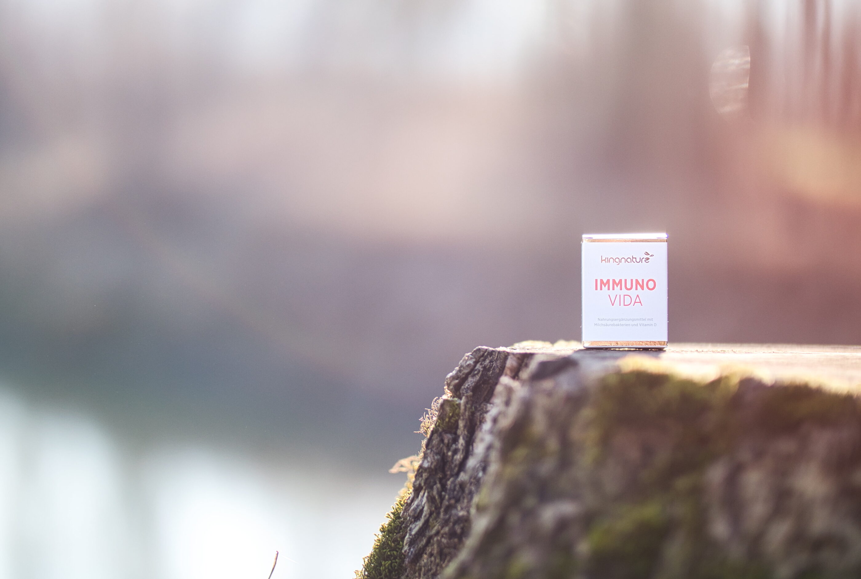 Immuno Vida – 20 Kapseln à 400 mg | 100% natürlich | kingnature